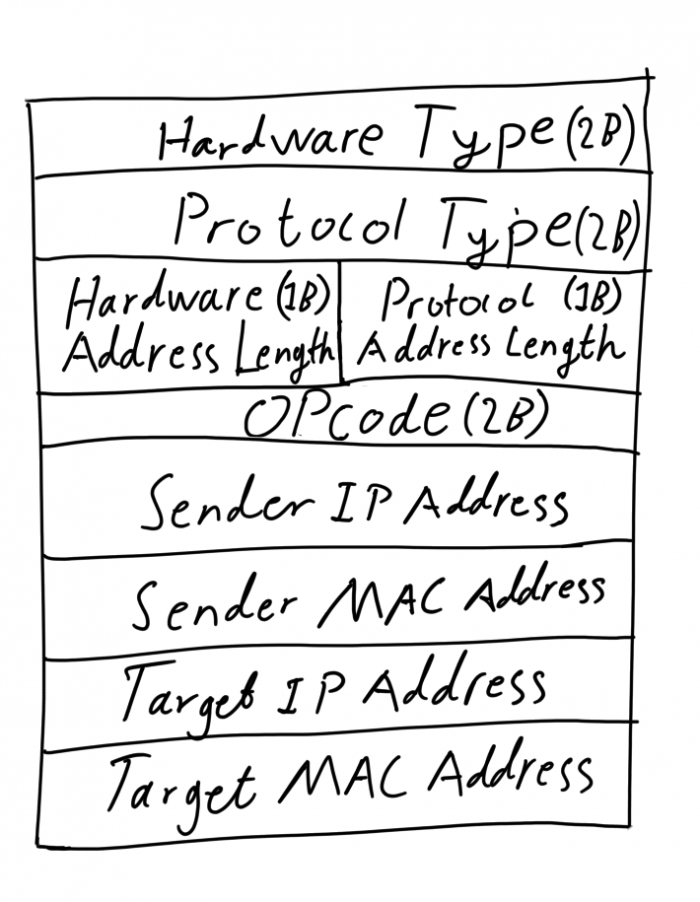 Understanding ARP - Address Resolution Protocol - Code Intrinsic
